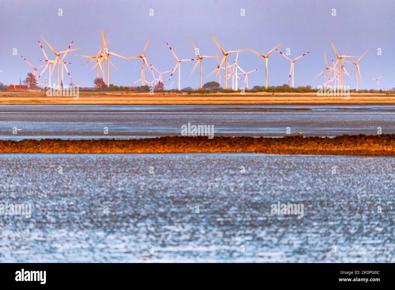 Wind farm behind the dike, Friedrichskoog in the evening on the North ...