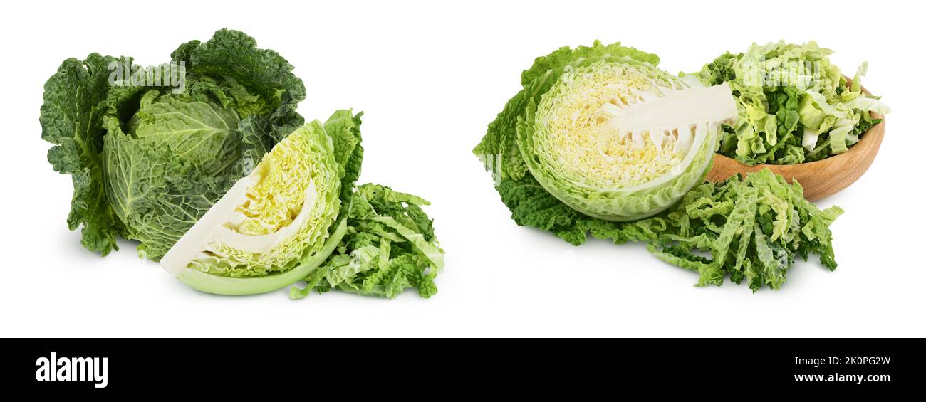 Savoy cabbage slice isolated on white background with full depth of ...