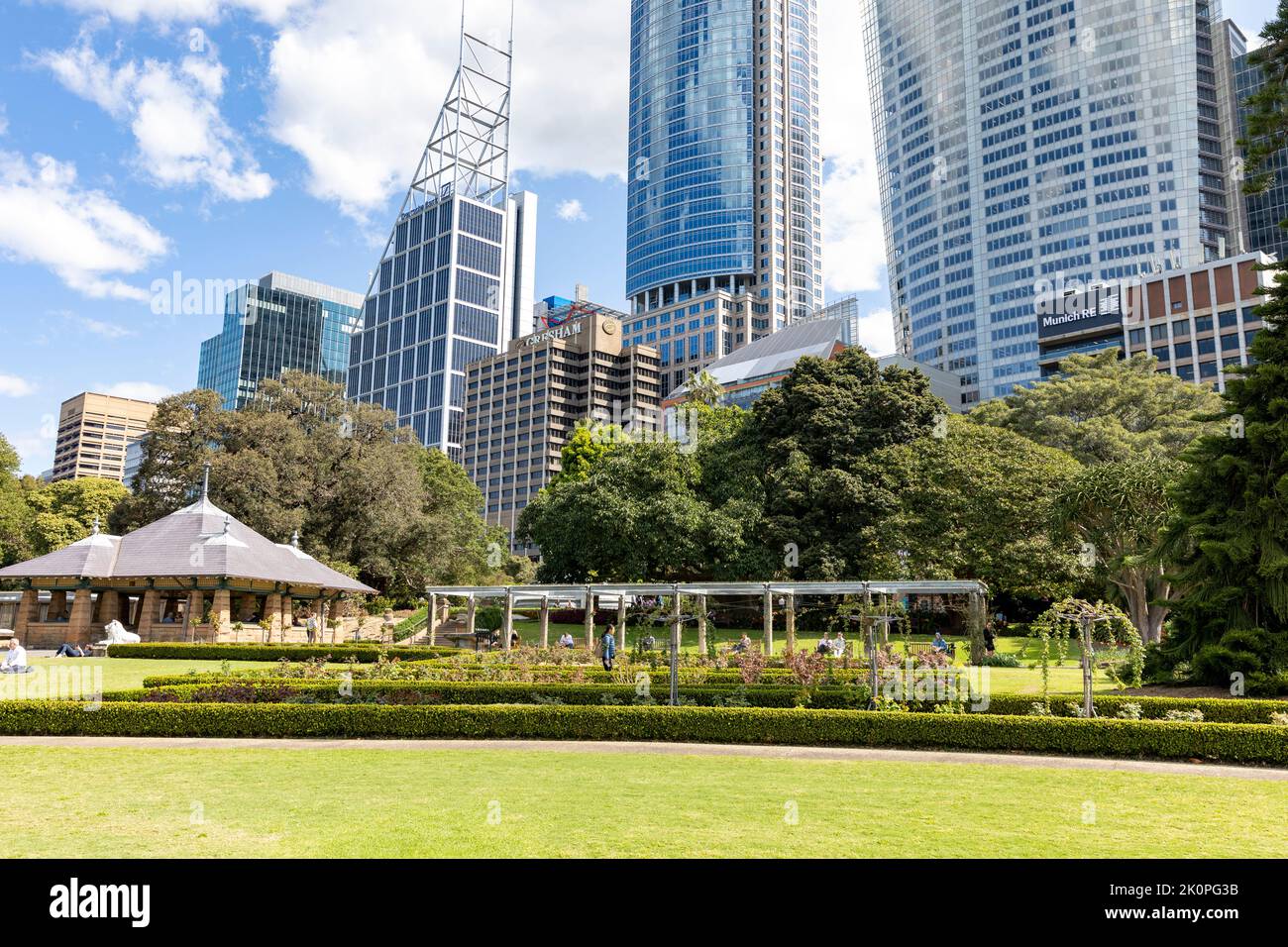 Royal Botanic Garden Sydney with rose garden and high rise office ...