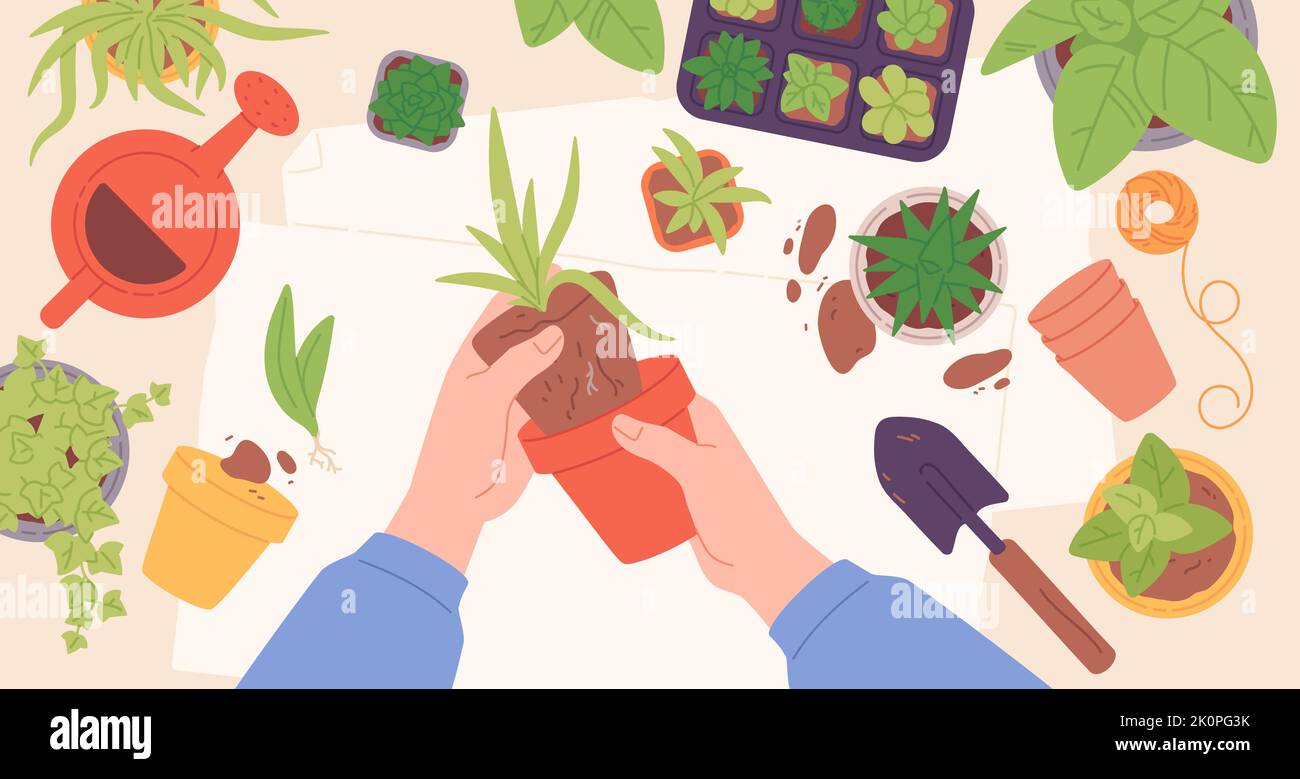 Transplant plant Stock Vector Images - Alamy