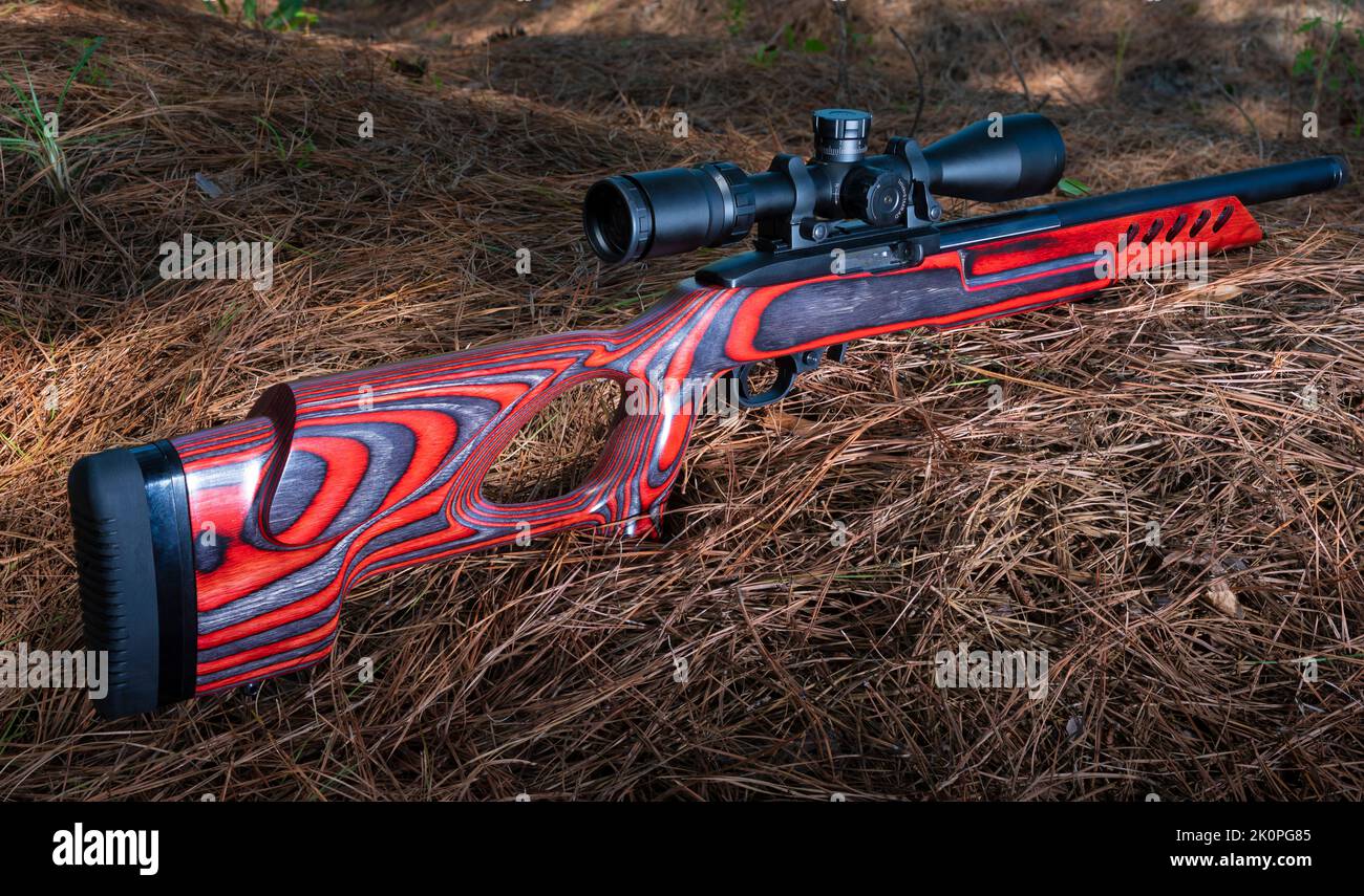 Semi-auto rimfire rifle with a scope on a forest floor Stock Photo - Alamy