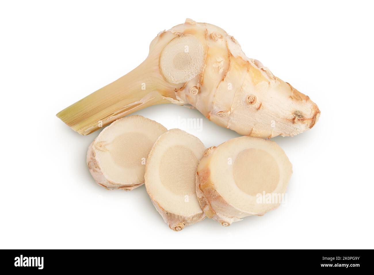 Fresh galangal root with slices isolated on white background with full ...