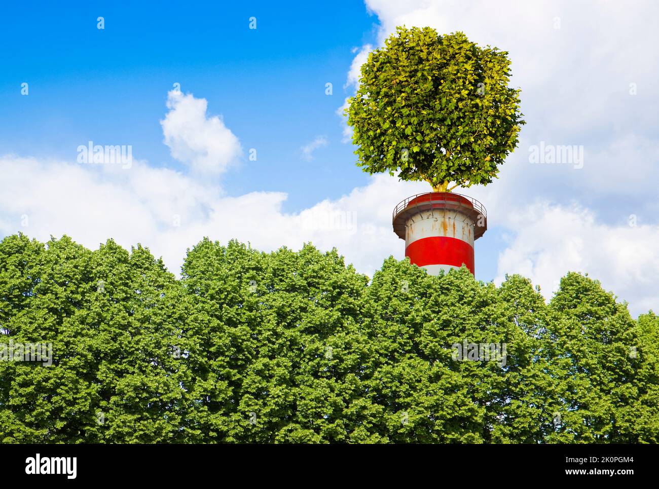 Tree zero emissions carbon hi-res stock photography and images - Alamy