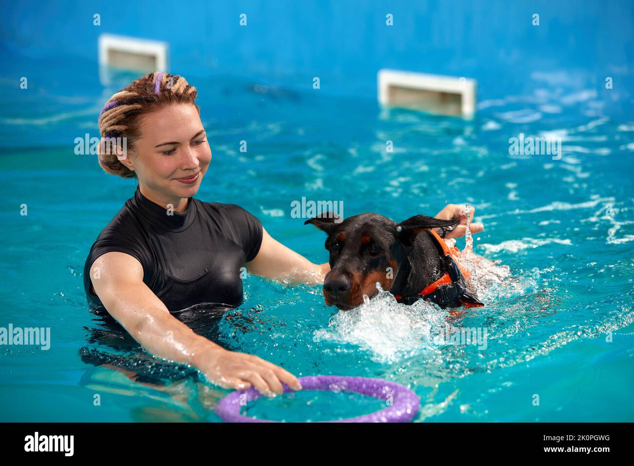 Dog in life jacket swim in the swimming pool with coach. Pet rehabilitation. Recovery training ...