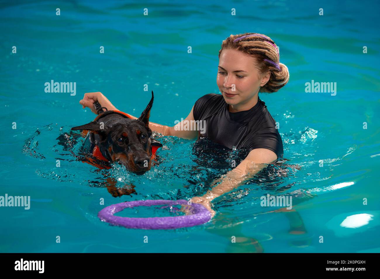 Dog in life jacket swim in the swimming pool with coach. Pet rehabilitation. Recovery training ...