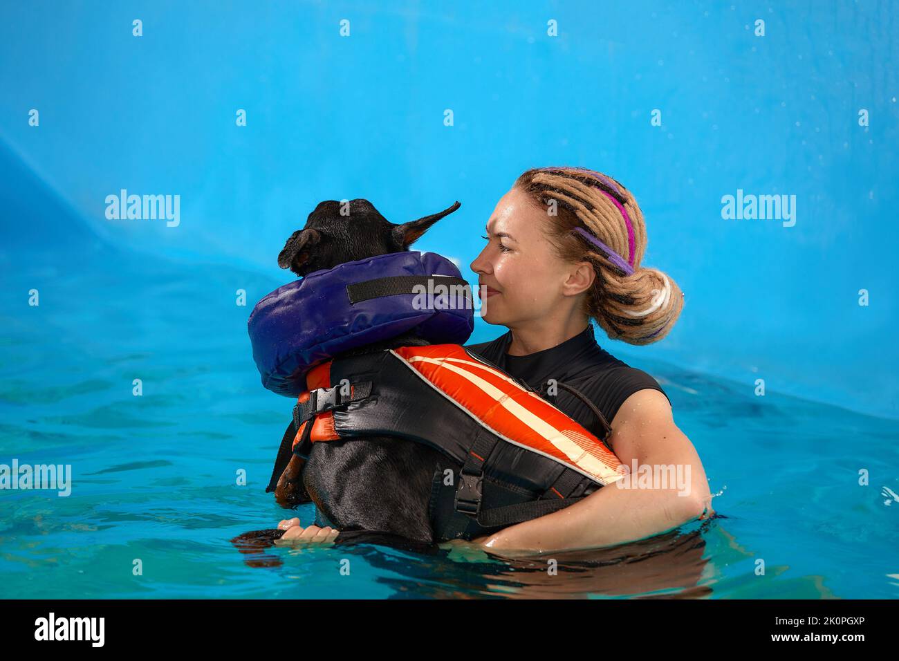 Dog in life jacket swim in the swimming pool with coach. Pet rehabilitation. Recovery training ...