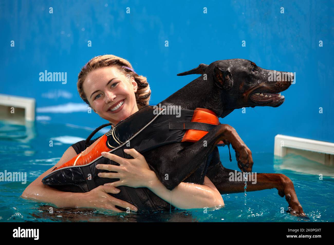 Dog in life jacket swim in the swimming pool with coach. Pet ...