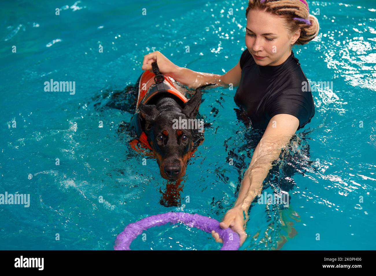 Dog in life jacket swim in the swimming pool with coach. Pet rehabilitation. Recovery training ...