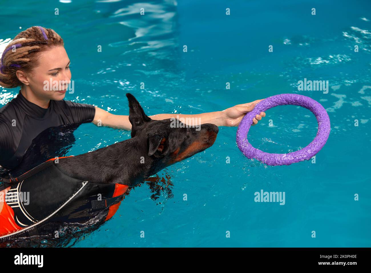 Dog in life jacket swim in the swimming pool with coach. Pet rehabilitation. Recovery training ...