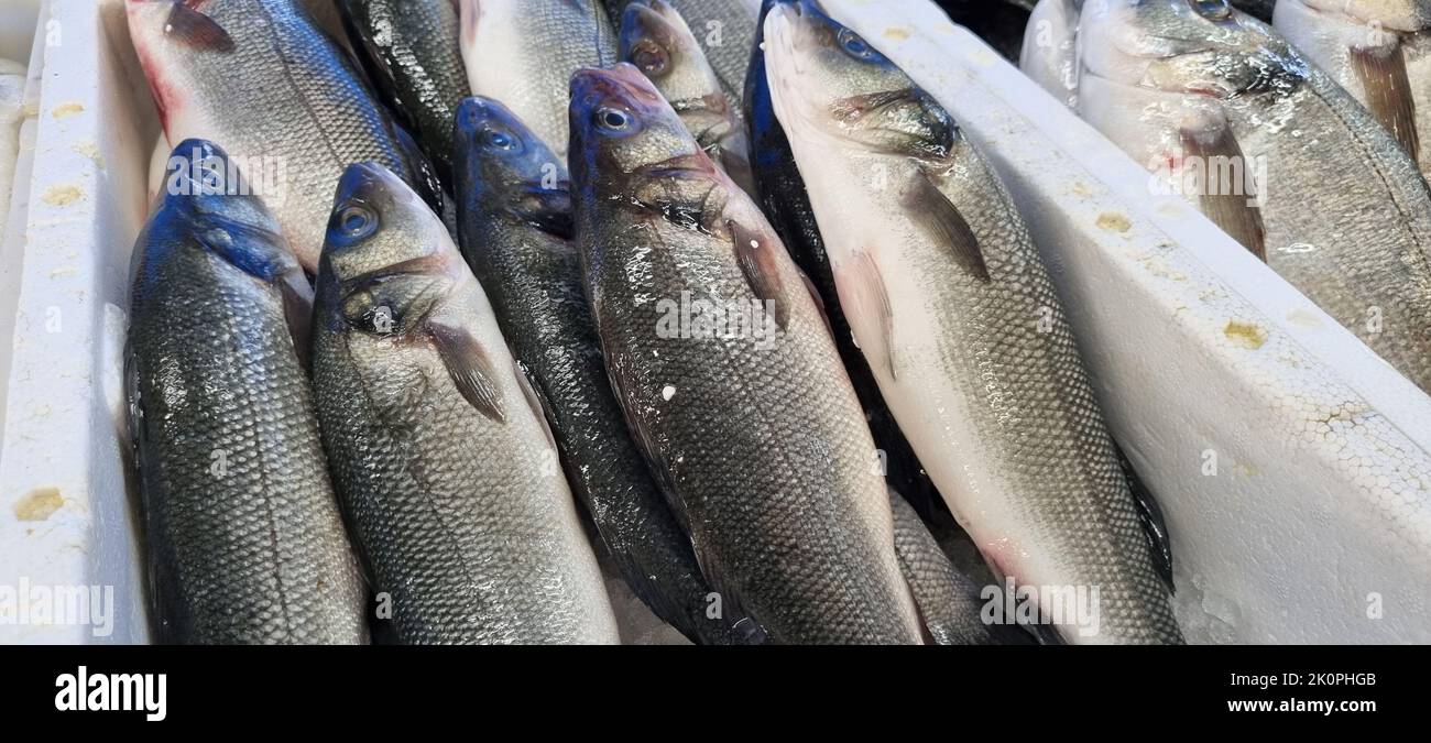 Different sea fish at a fish market in Croatia Stock Photo - Alamy