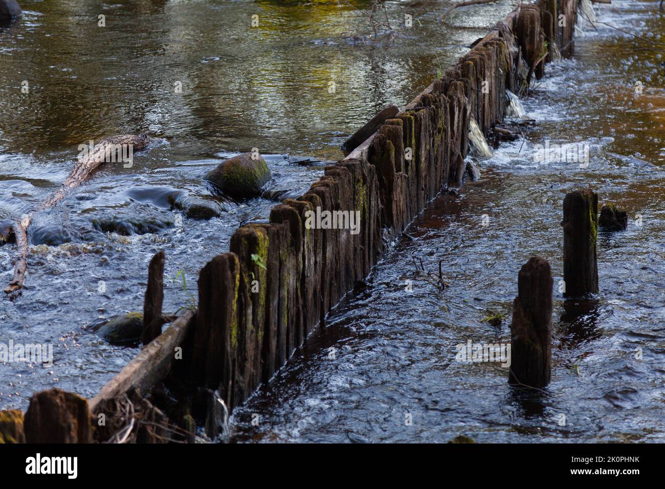 Old wooden dam on the river covered with moss Stock Photo - Alamy