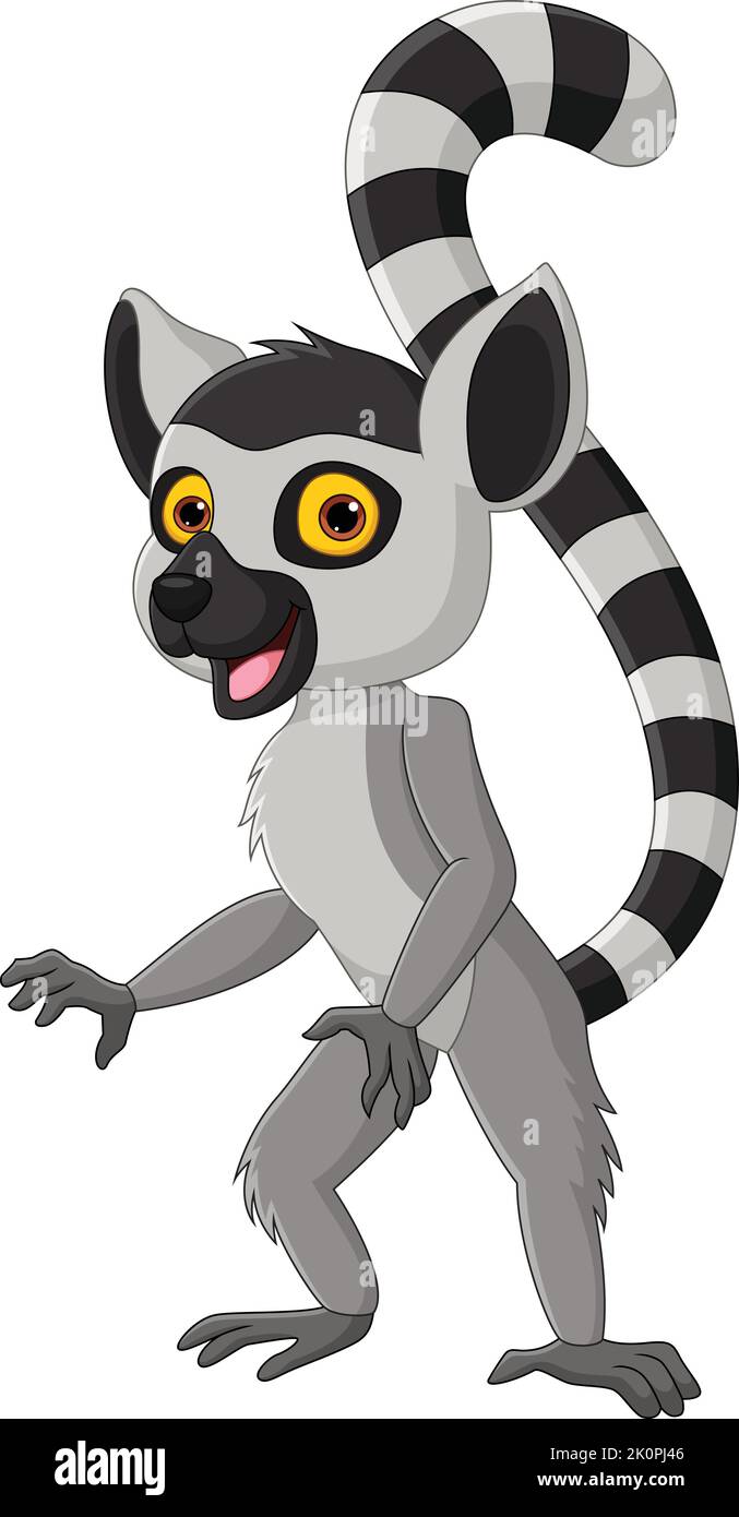 Lemur mammal icon cartoon hi-res stock photography and images - Alamy