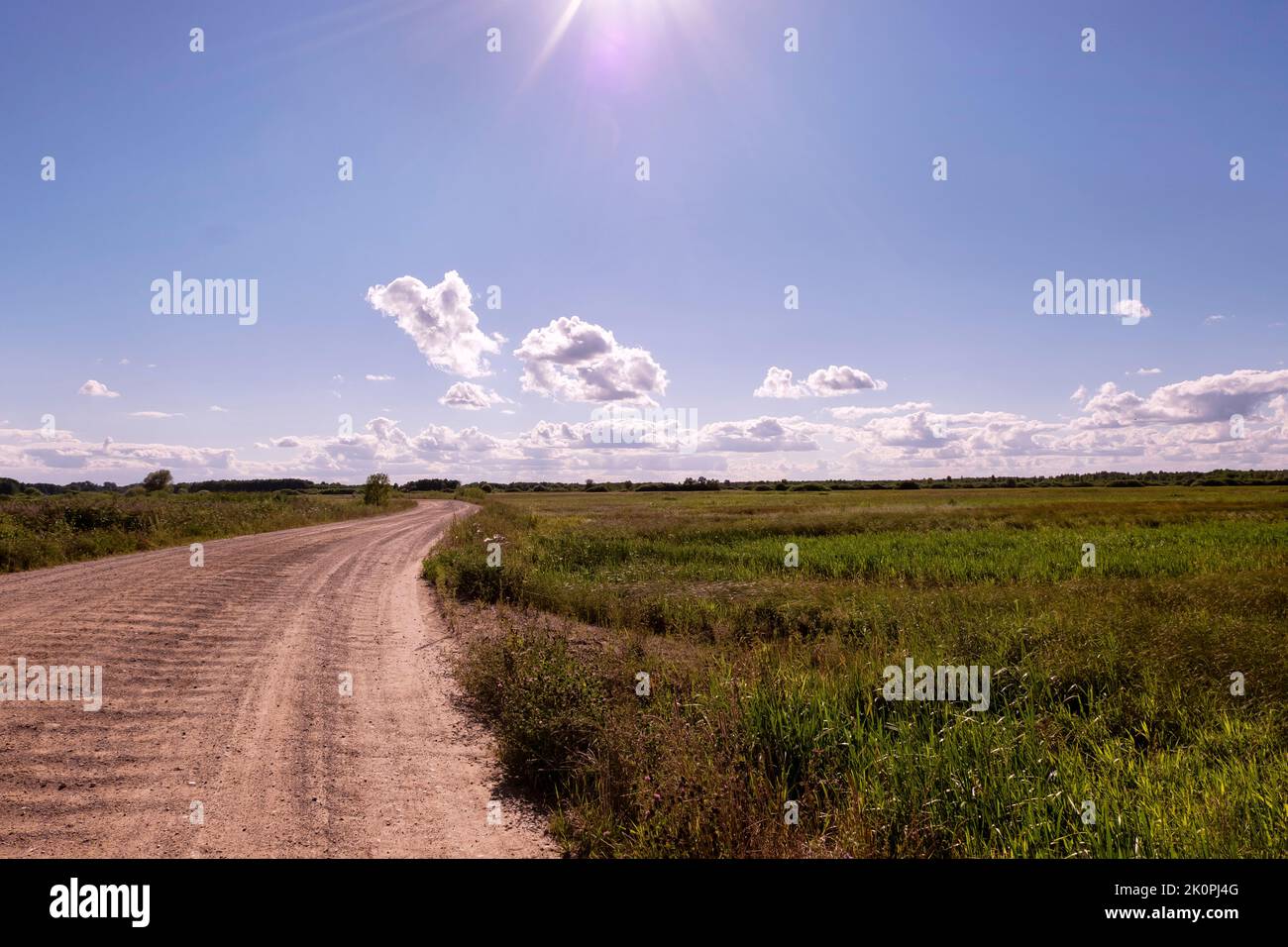 Dirt road by a grassland. Plain land with green pastures and meadows ...