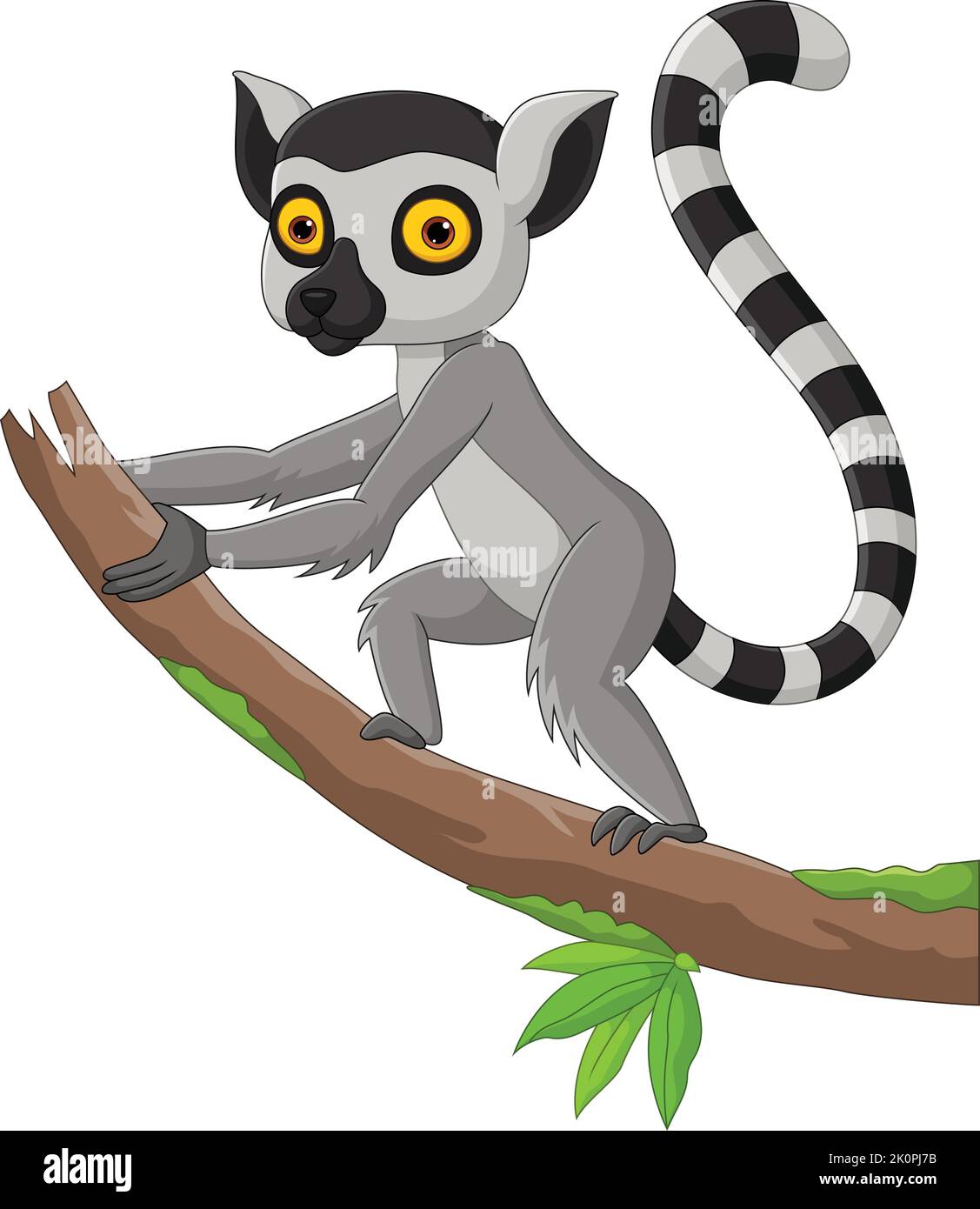 Cartoon cute lemur on tree branch Stock Vector Image & Art - Alamy