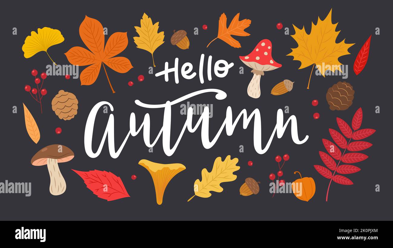 Hello autumn hand drawn vector calligraphy with leaves set. Cute ...