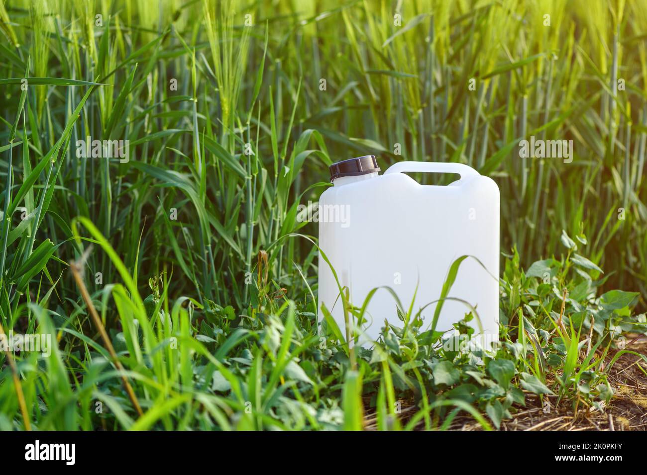 White canister plastic can as herbicide container in cultivated barley ...