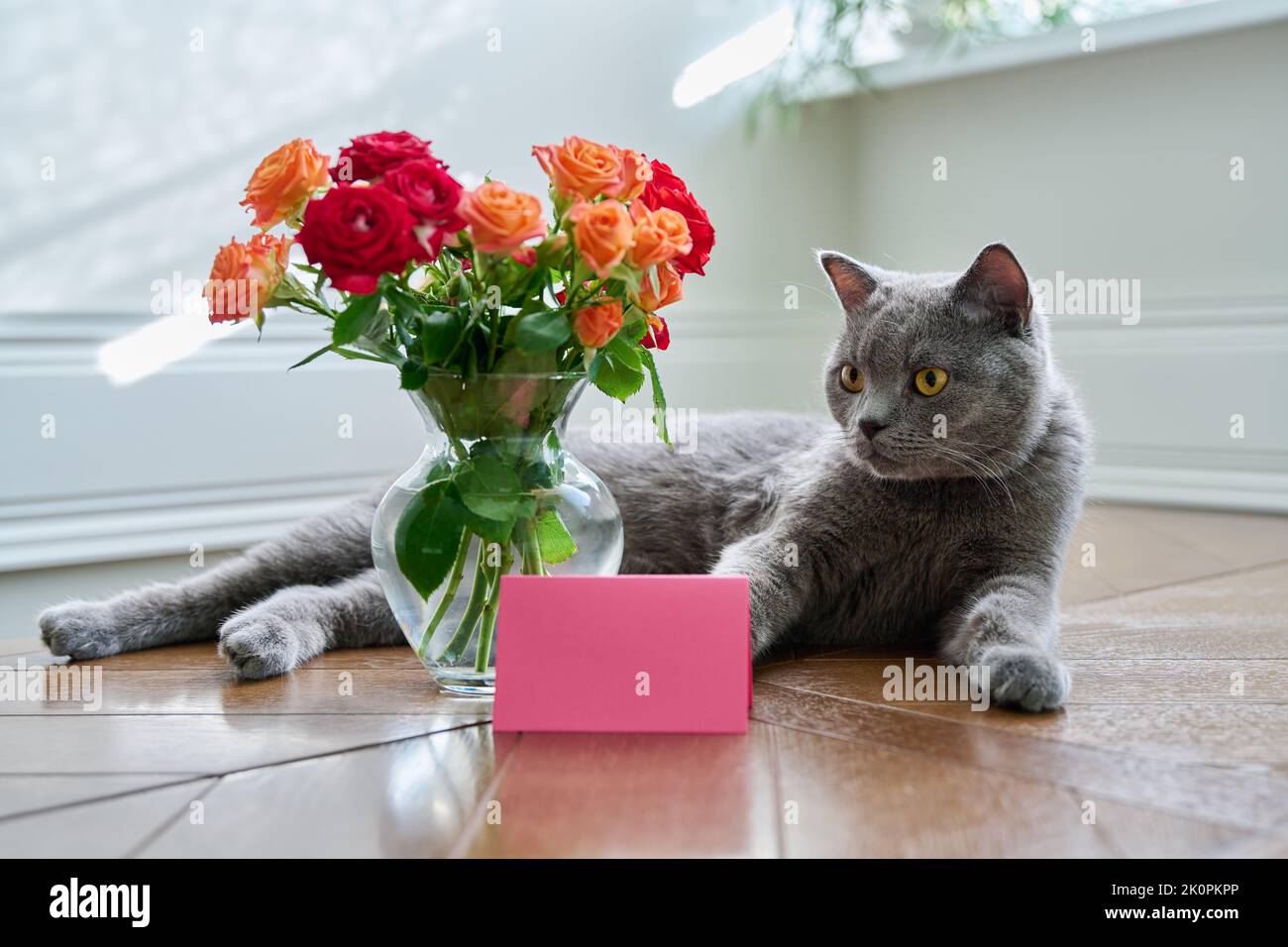 Relaxed cat lying on table with bouquet of flowers in vase and card ...