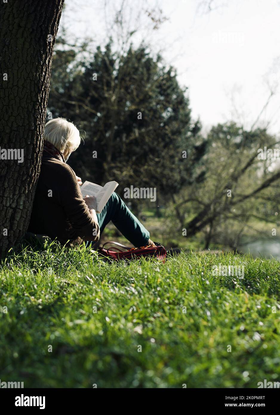 A person sitting under a tree and reading a book Stock Photo - Alamy