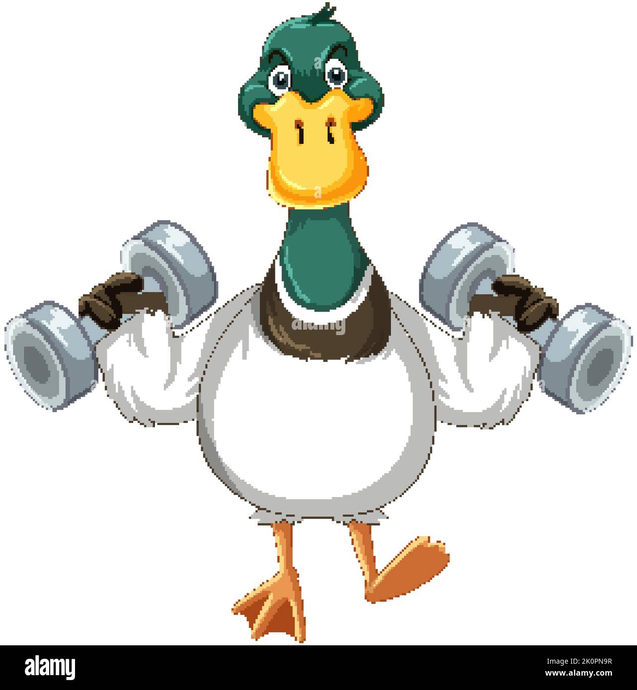 Cute duck cartoon character workout using dumbbell illustration Stock ...