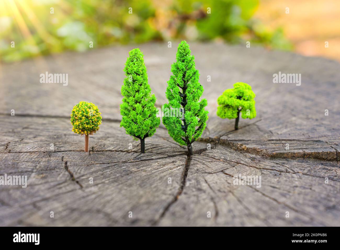 Row of toy trees placed on a large tree stump, close-up. Creative ...