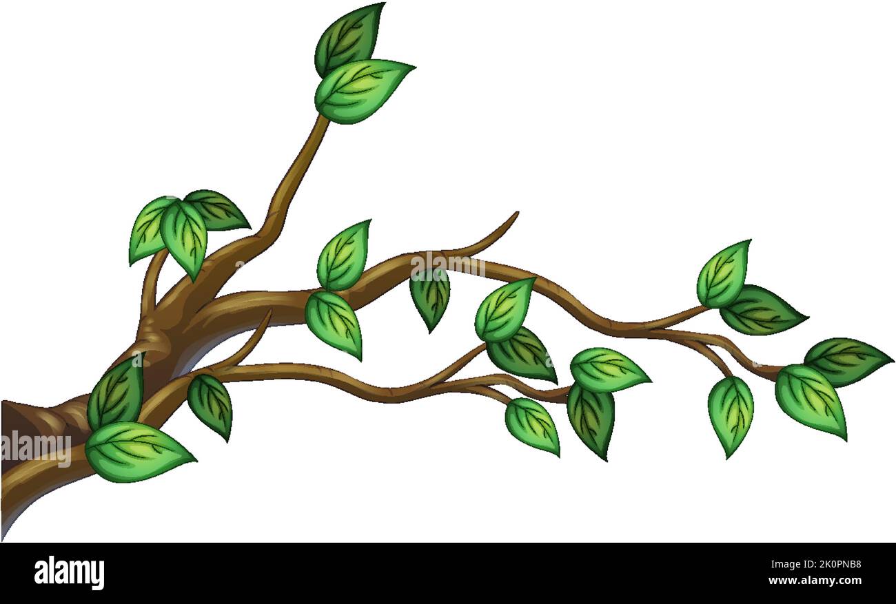 Tree branch isolated on white background illustration Stock Vector ...