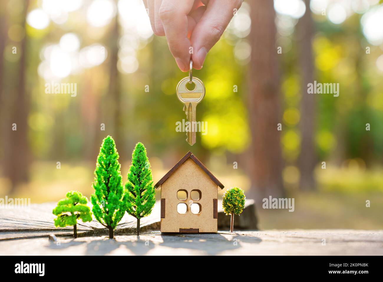 Woods cabin rental concept. House key in hand above a small wooden home ...