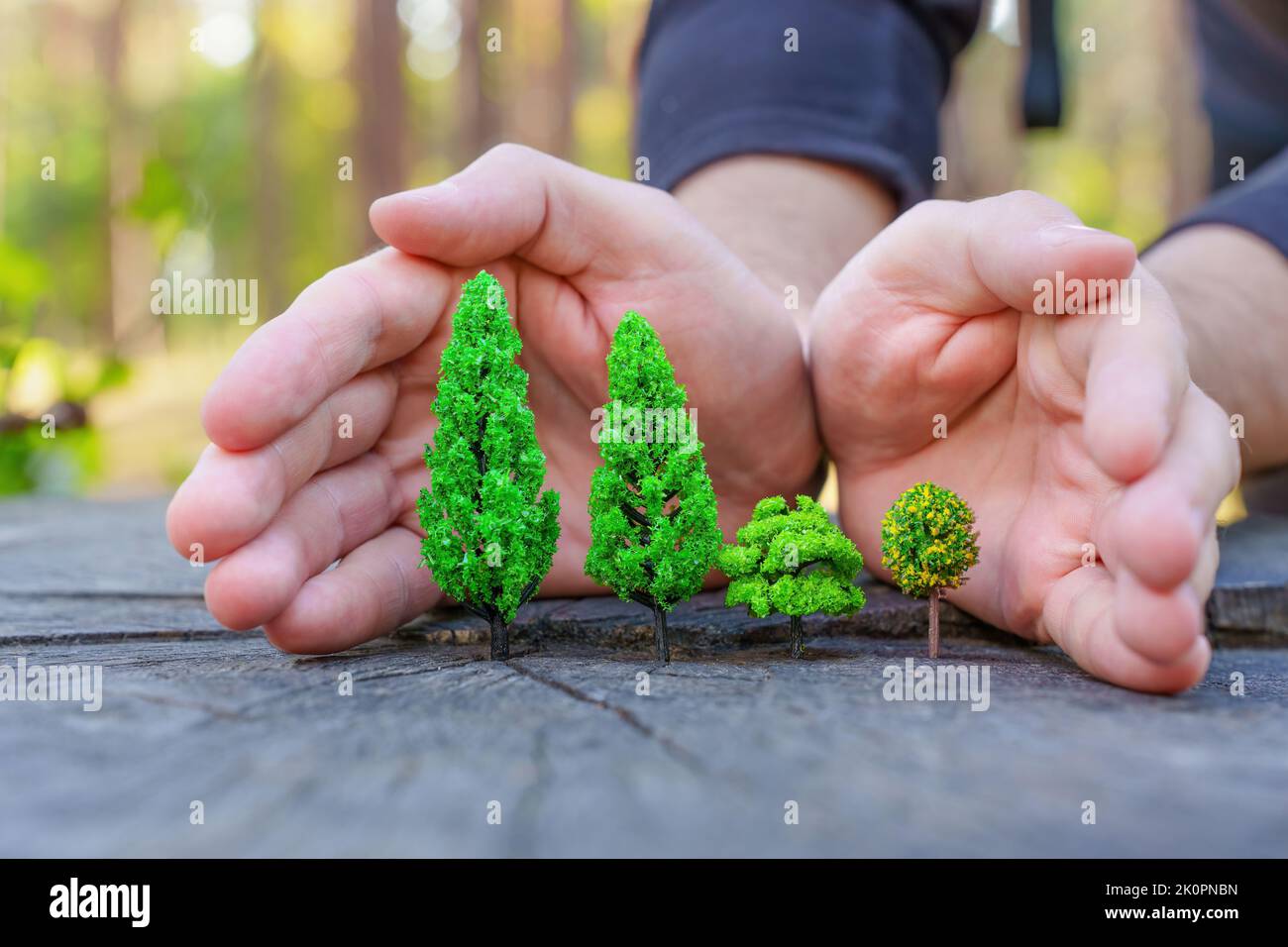 Protecting trees and woods hi-res stock photography and images - Alamy
