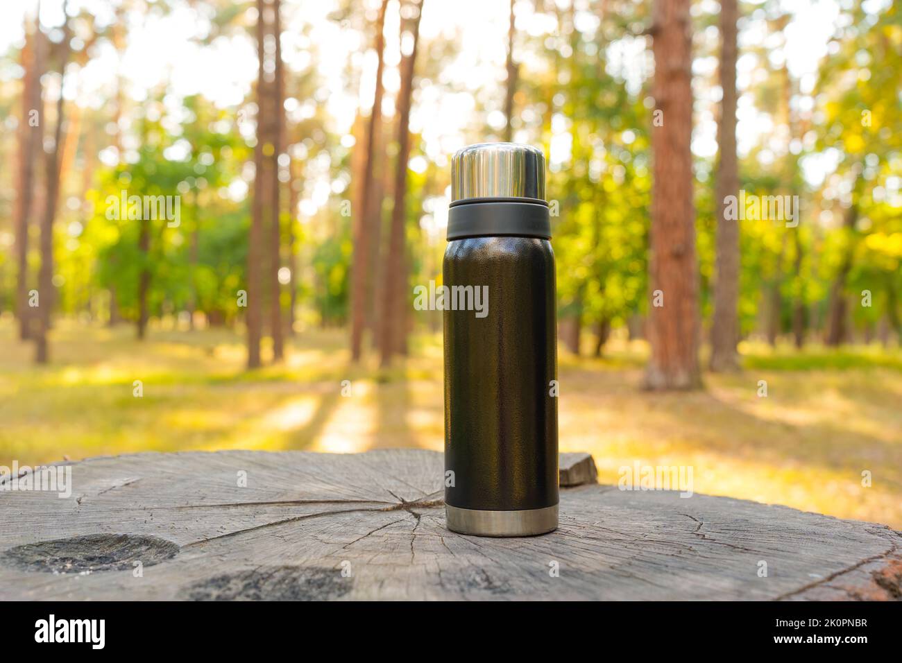 Close-up of a black thermos bottle placed on a large tree stump in the ...