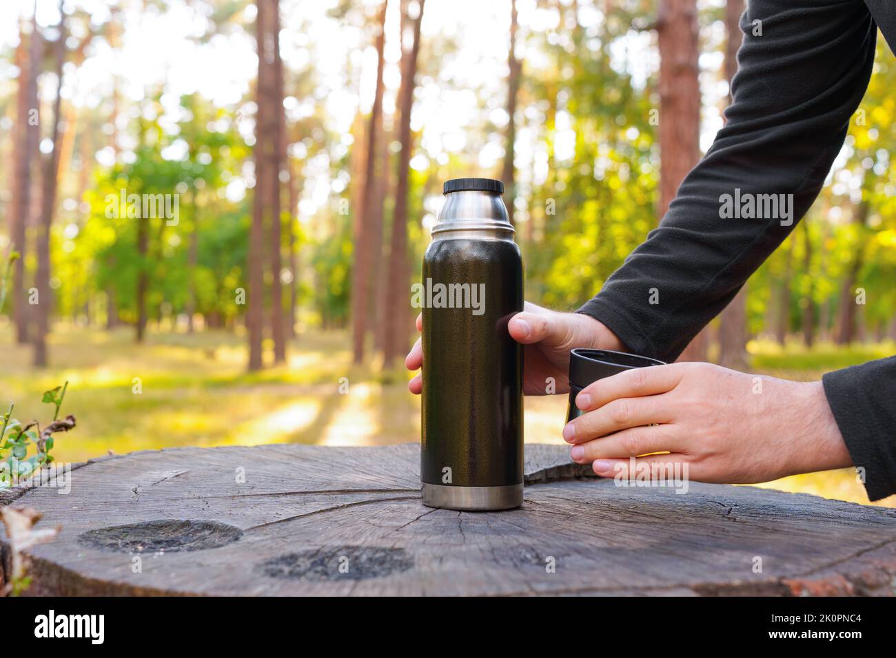 Hiker having a coffee break on a large tree stump in the woods, thermos ...