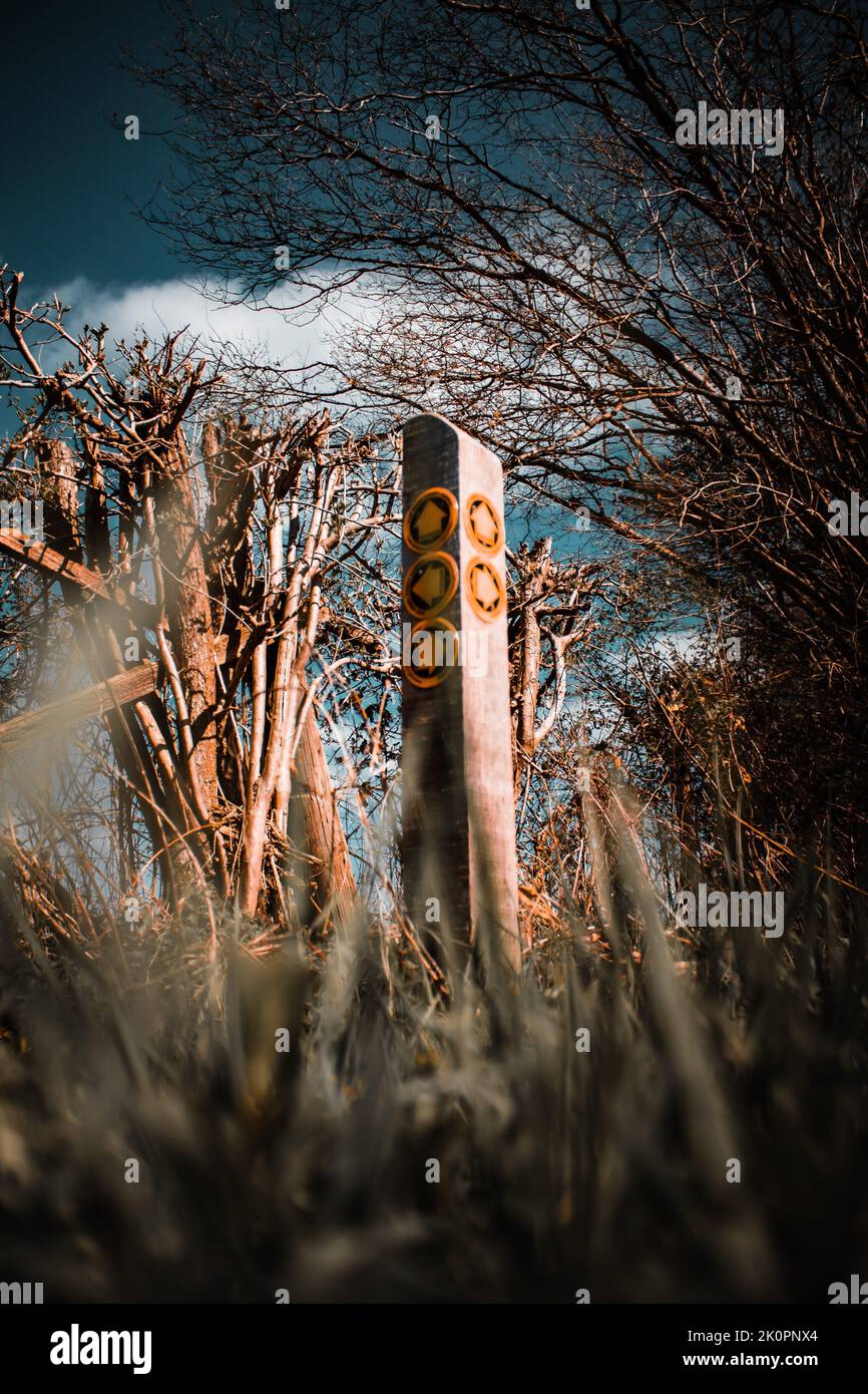 A vertical shot of a pole with arrow signs on it Stock Photo - Alamy