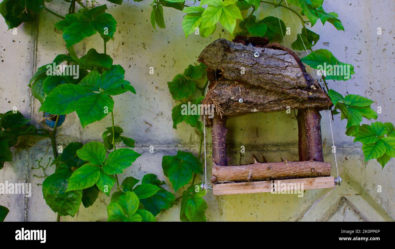 Handmade bird feeder. Focus is selective. Bird feeder made of tree bark ...