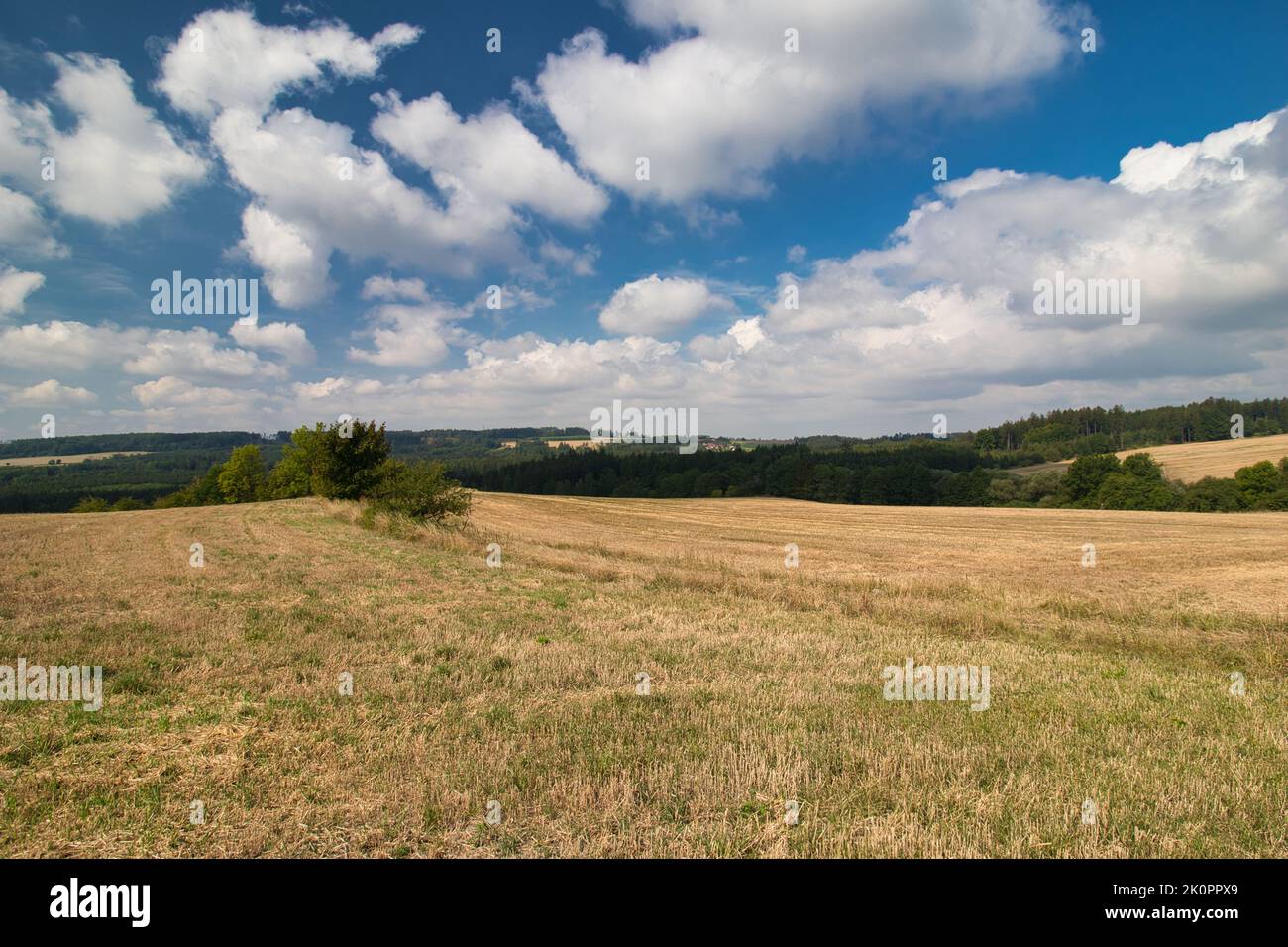 A dry meadow with grass in summer hot day under beautiful sky Stock ...