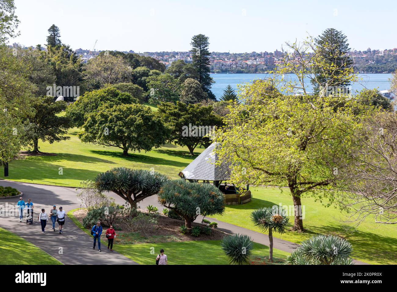 Royal Botanic Garden in Sydney city centre on a spring day with sydney ...