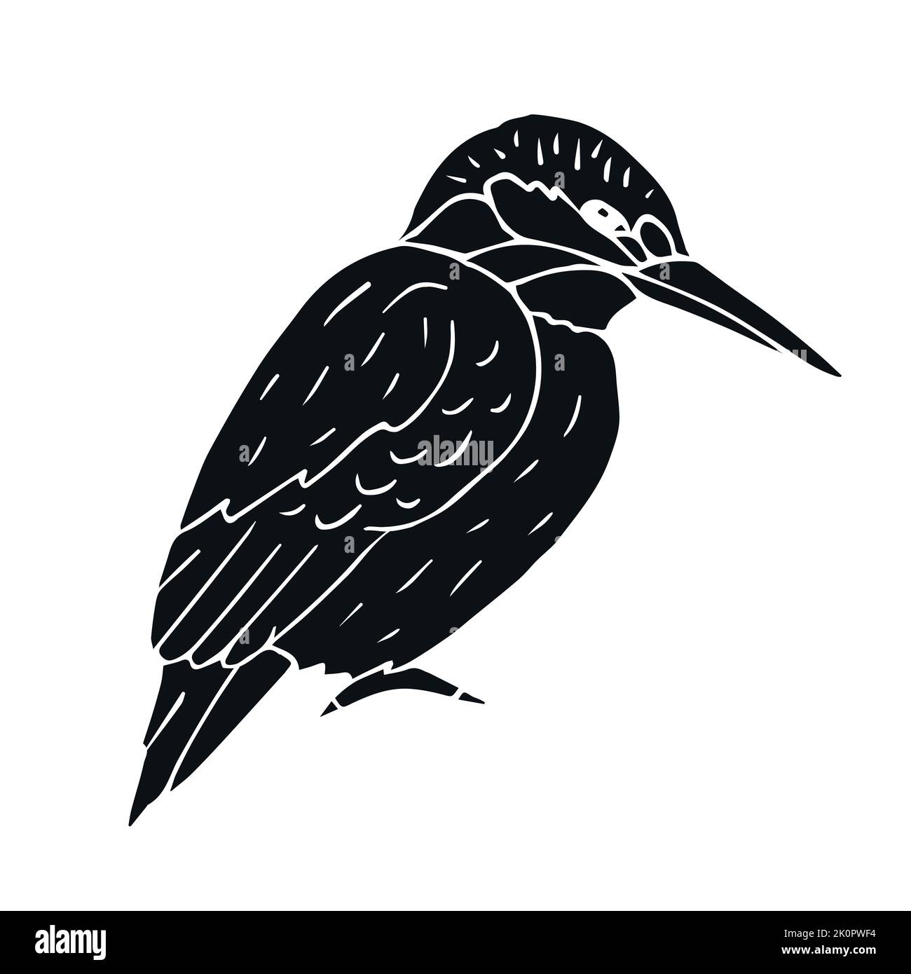 Birdwatching kingfisher Stock Vector Images - Alamy
