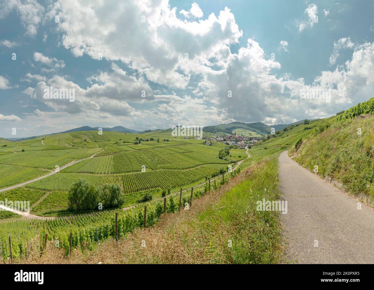 A village amid the vinyards, Niedermorschwihr, , France, landscape ...