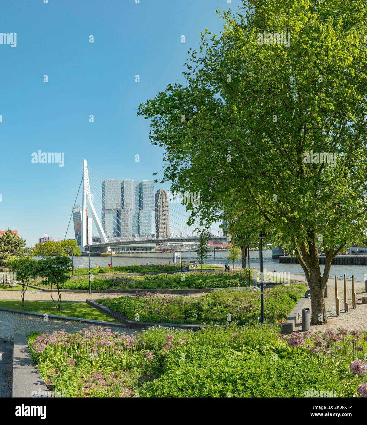 Zuid ho hi-res stock photography and images - Alamy