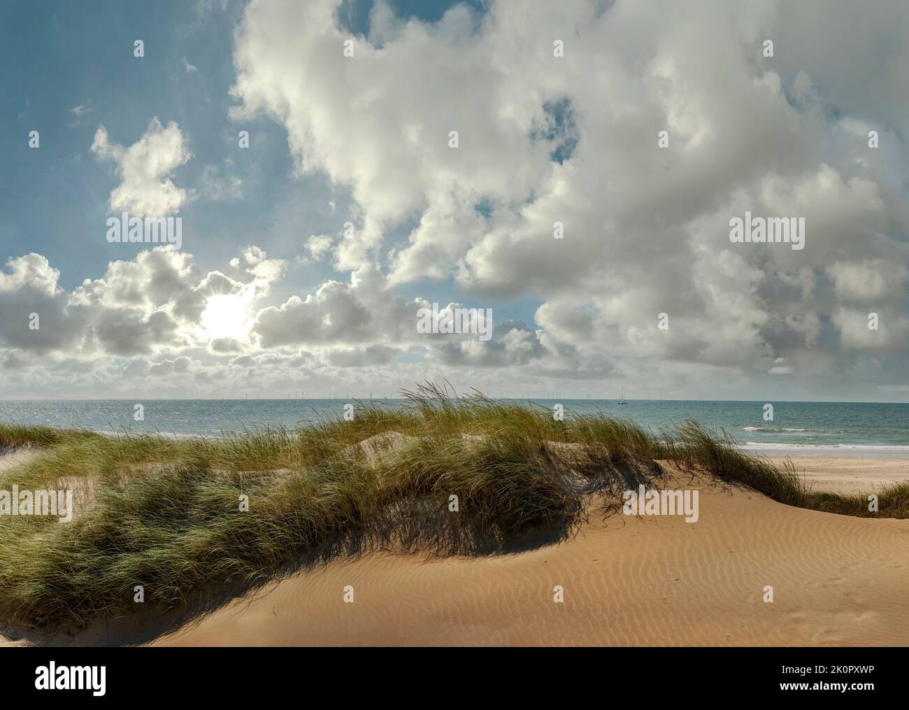 The dunes behind the North sea, Egmond aan Zee, Noord-Holland ...