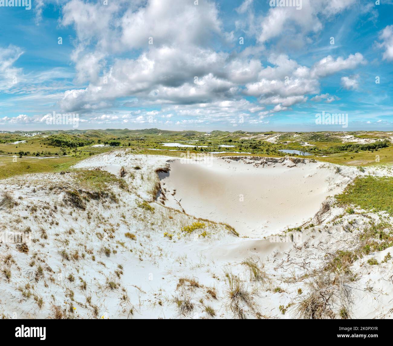 The dunes behind the North sea, Egmond aan Zee, Noord-Holland ...