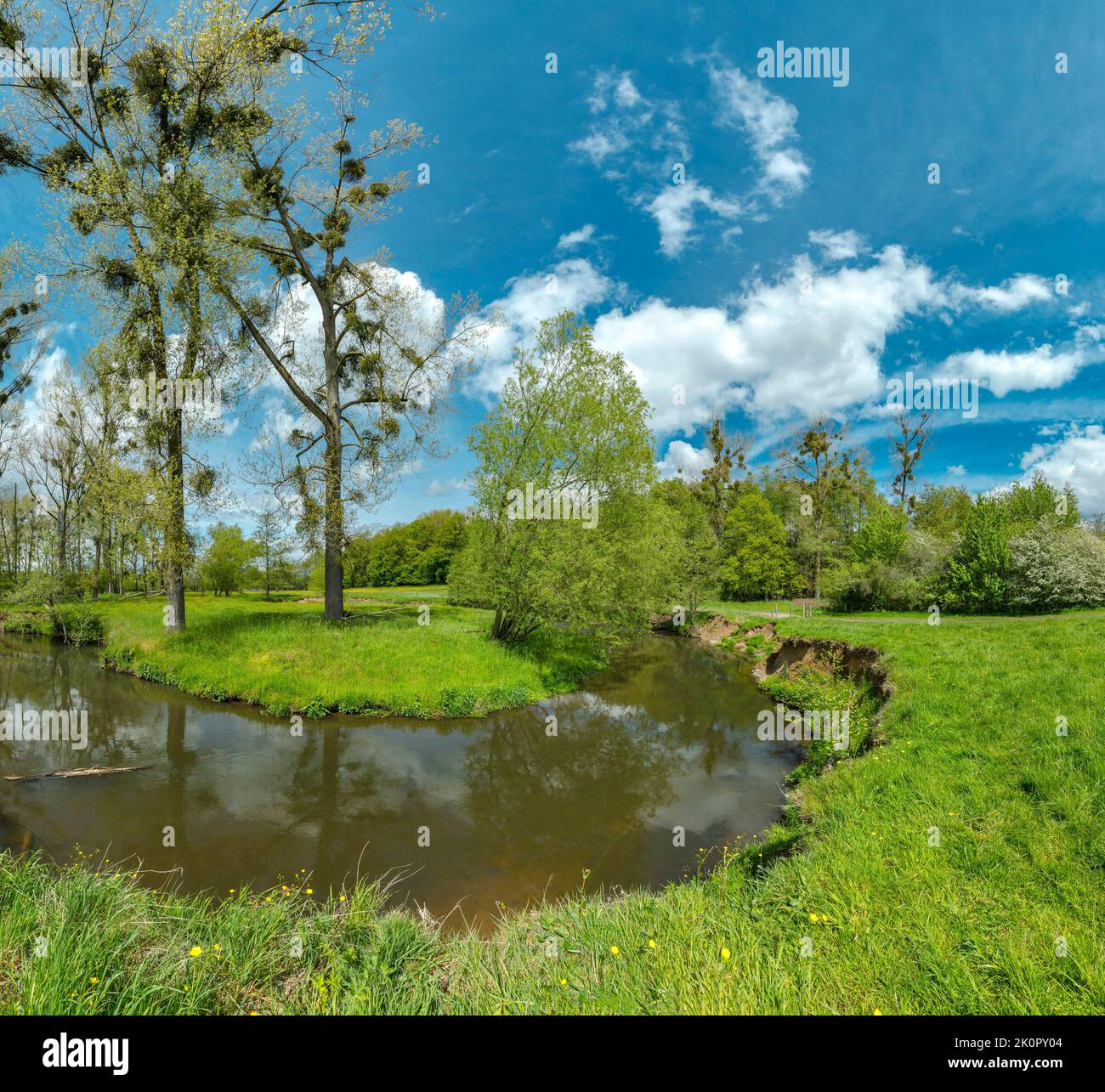 River called De Geul, Epen, Limburg, Netherlands, landscape, field ...