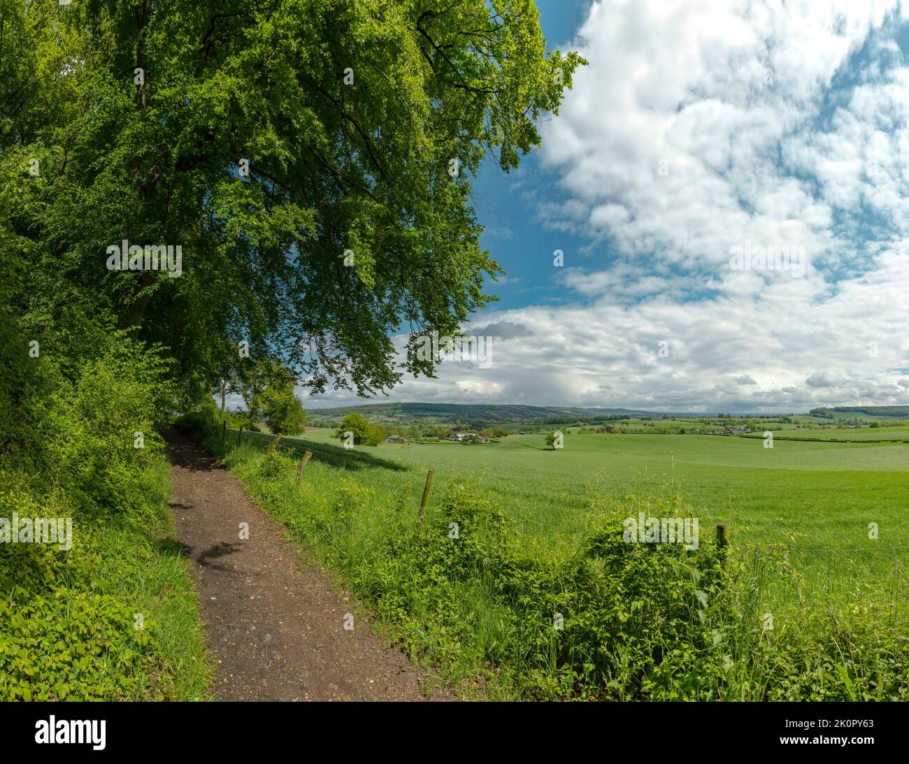 View over rolling hills, Sippenaeken, Limburg, Netherlands, landscape ...