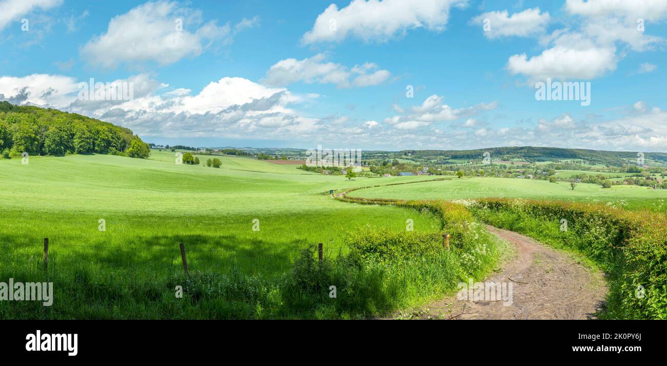 View over rolling hills, Sippenaeken, Limburg, Netherlands, landscape ...