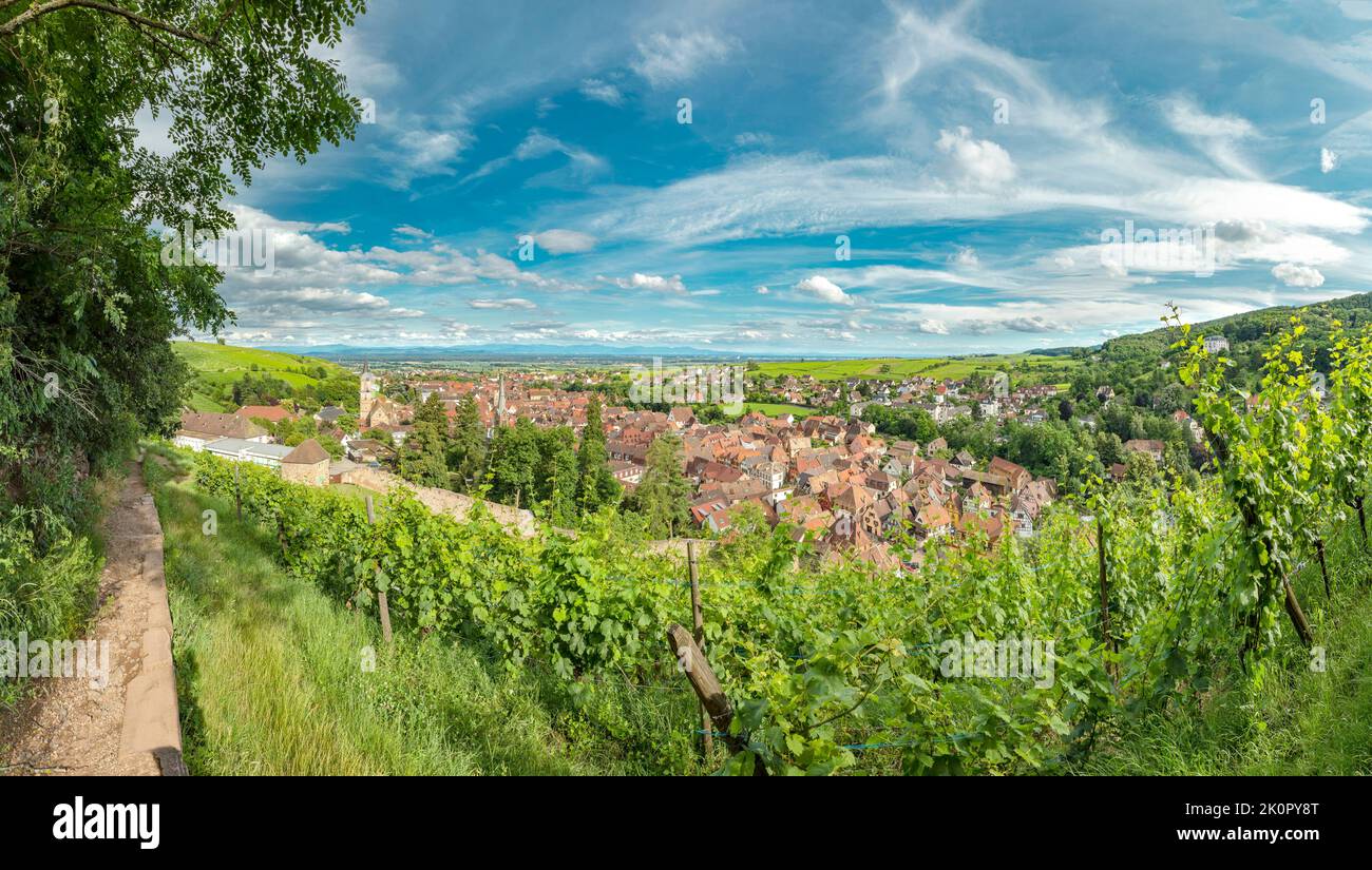 A village amid the vinyards hi-res stock photography and images - Alamy