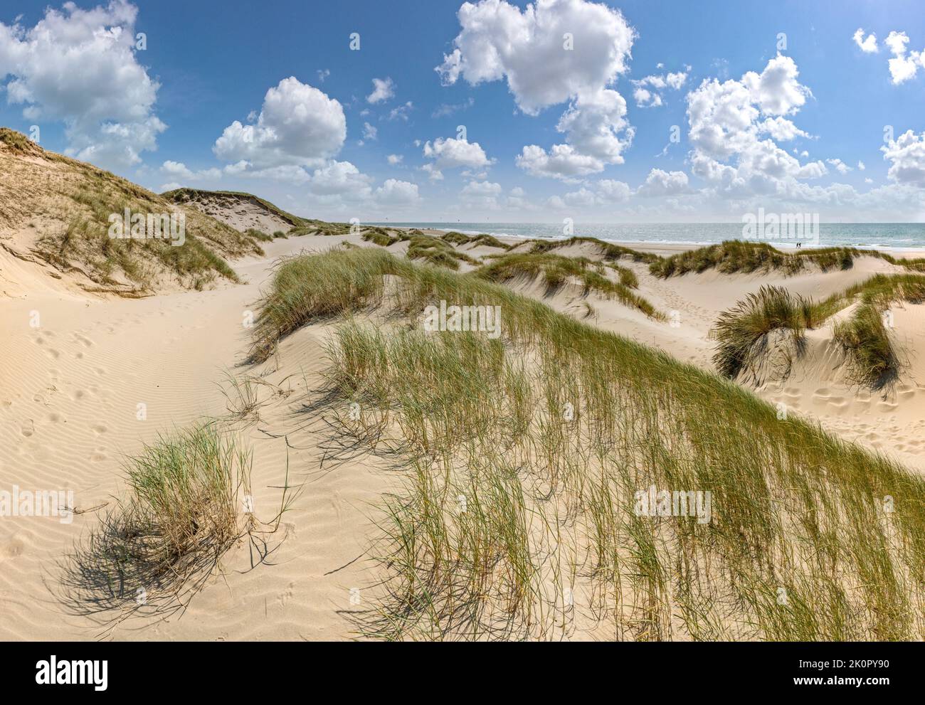 The dunes behind the North sea, Egmond aan Zee, Noord-Holland ...