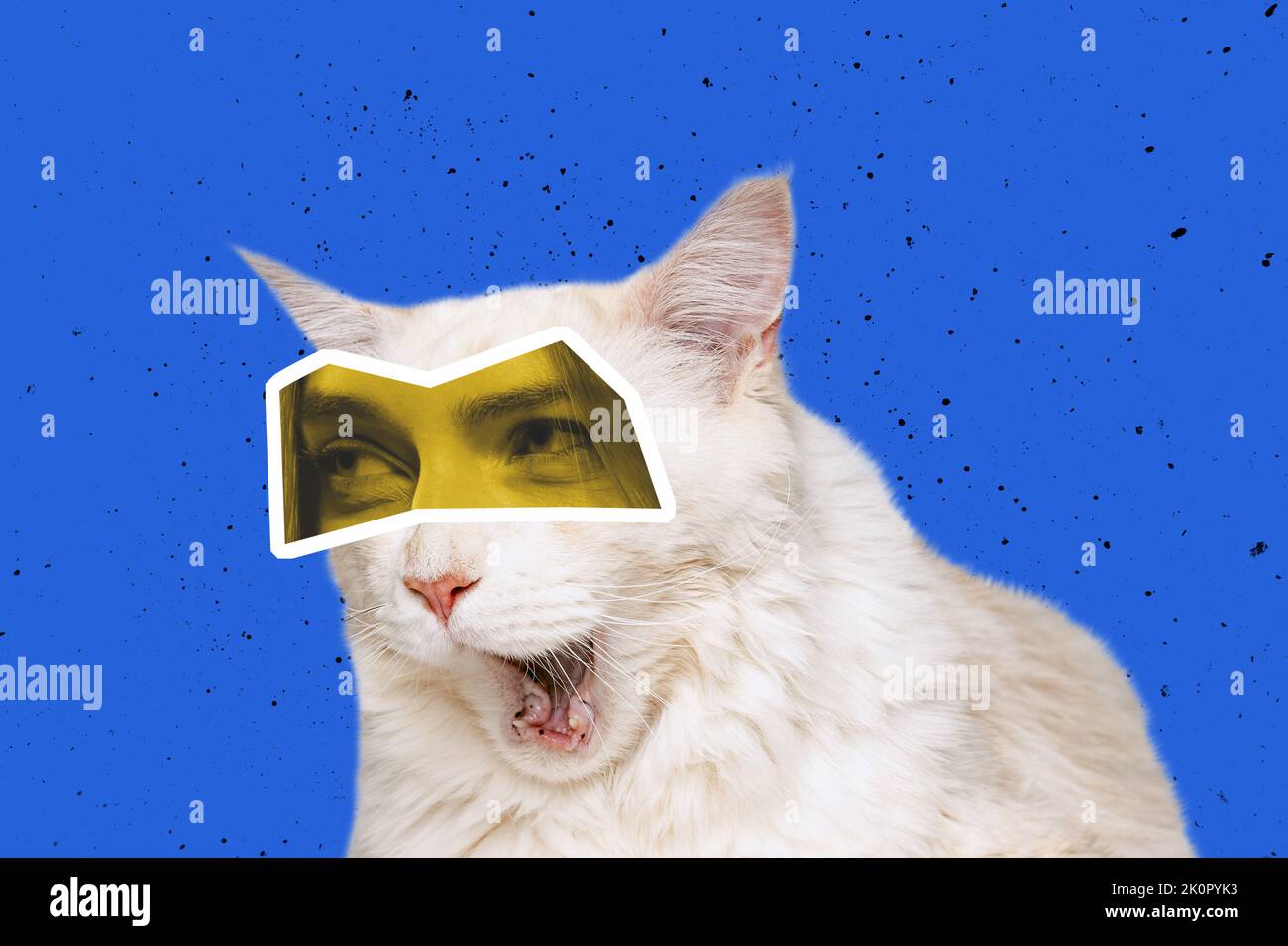 Meow loudly. Big white cat with human eyes expressive different emotion ...