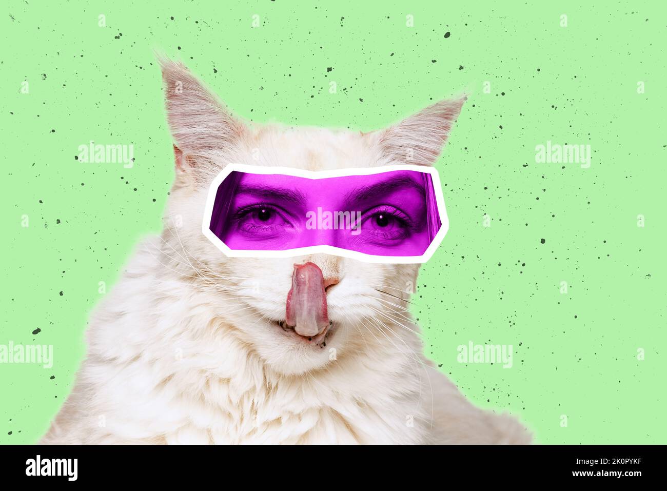 Funny portrait of cute cat with human eyes expressive different emotion ...