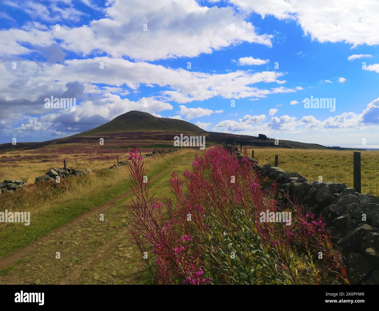 A view of the stunning late summer scenery on the slopes of east Lomond ...