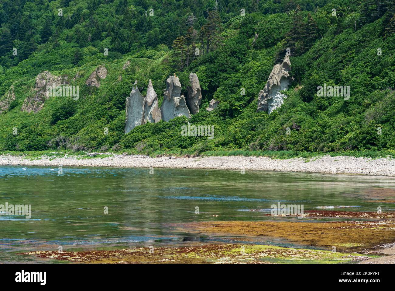 coastal landscape, beautiful lava rocks on the green coast of Kunashir ...