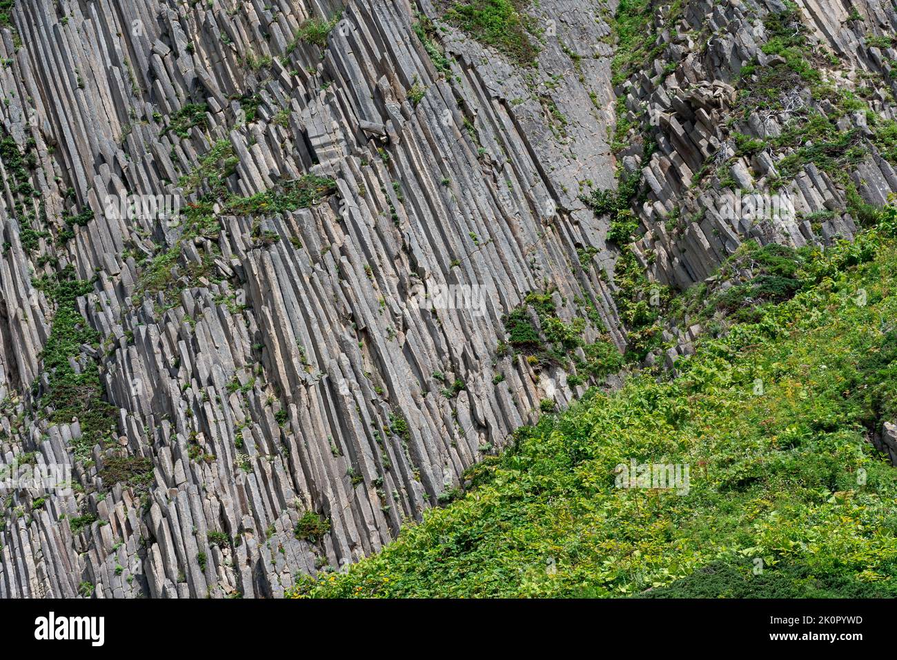 natural background, rock surface formed by vertical basalt columns ...
