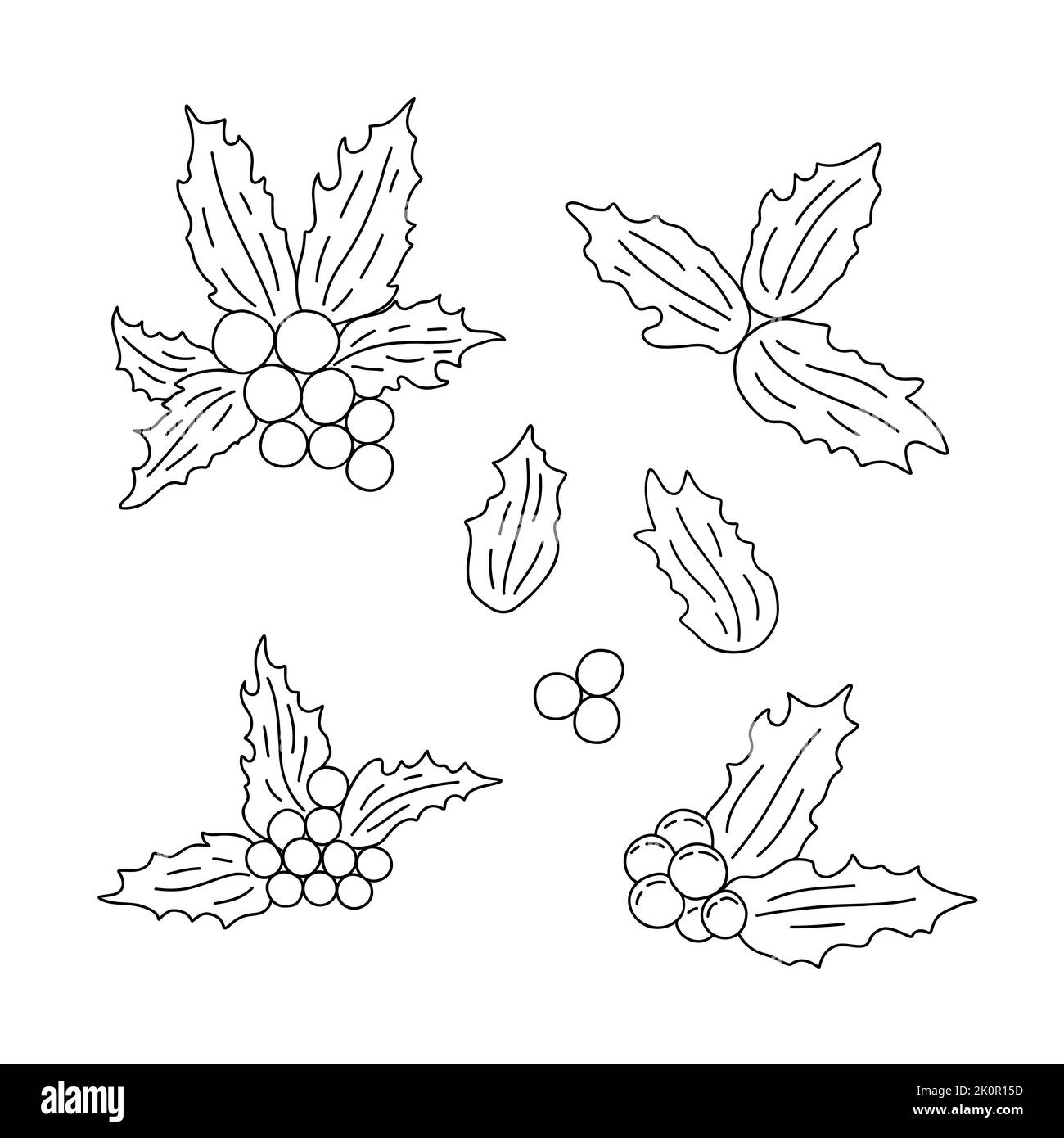 Holly plant leaves and berry traditional winter holidays simple outline ...