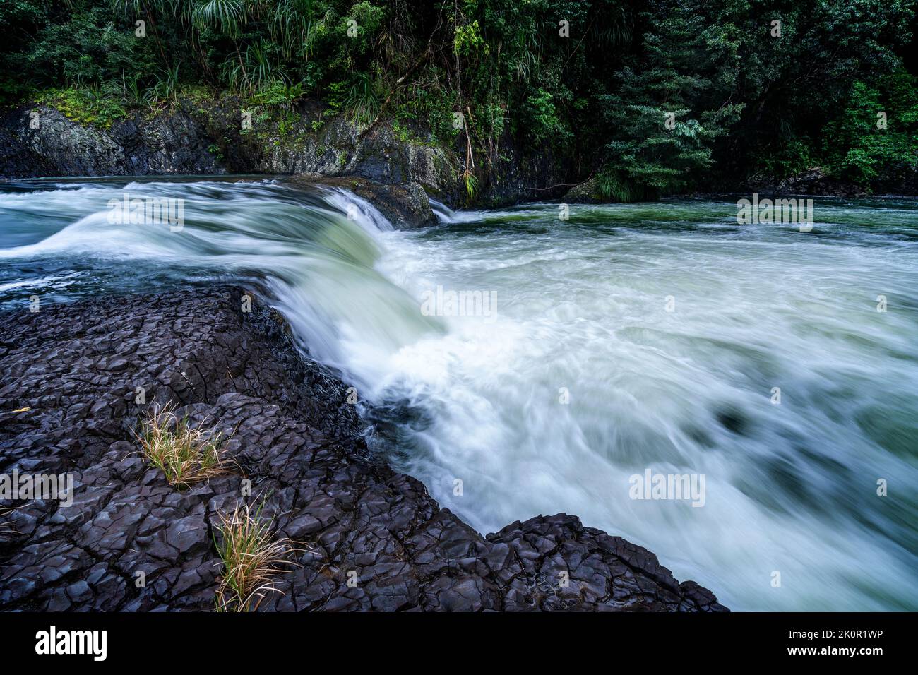 Rapids on Tully River Gorge, North Queensland Stock Photo - Alamy